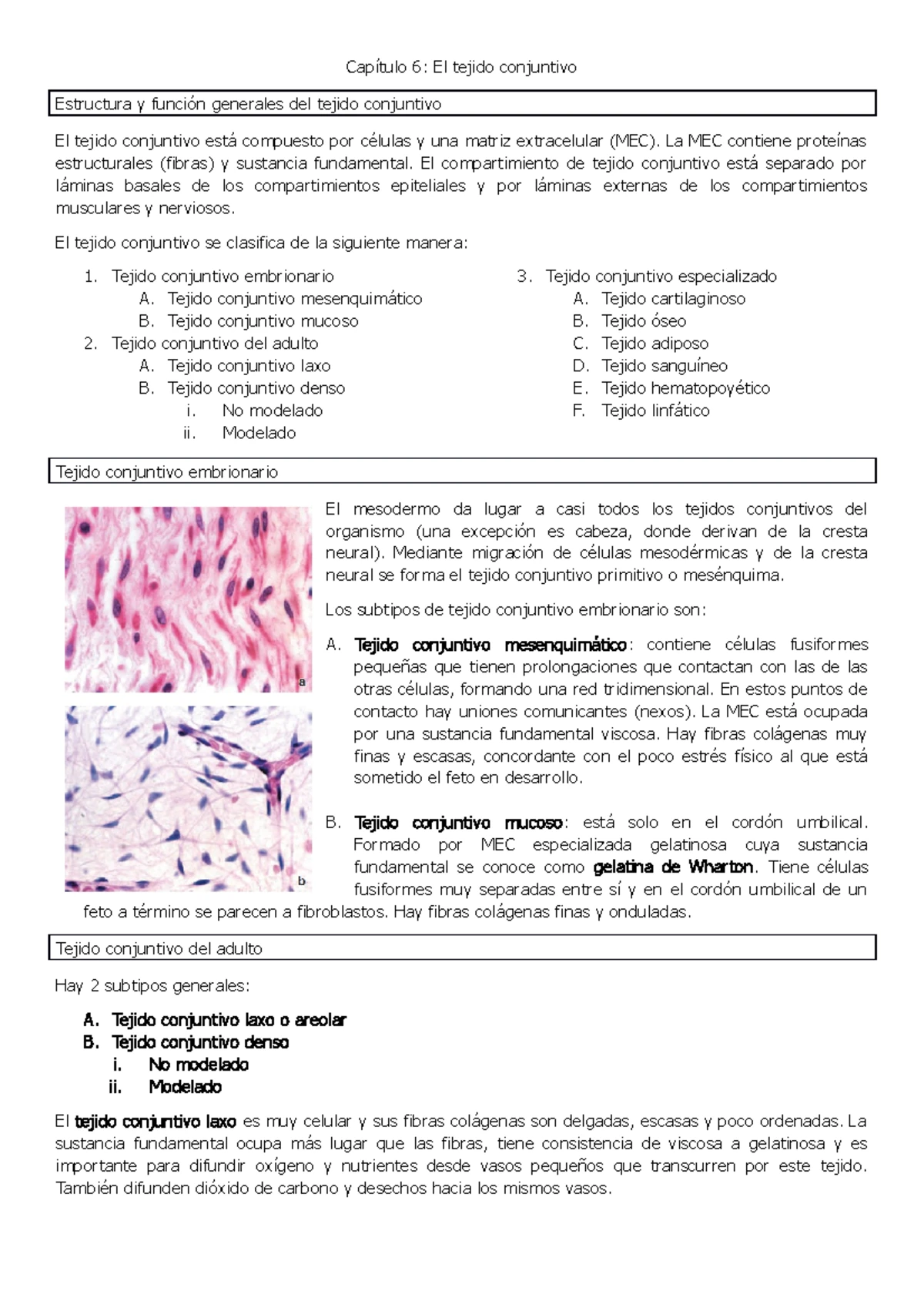 Tejido epitelial Capitulo 5 Ross Histología Epitelio Resumen - Warning: TT: undefined function ...
