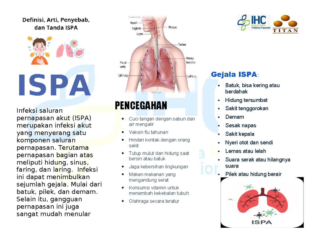 ISPA - Rangkuman Infeksi Saluran Pernapasan Akut dan Pencegahan - Studocu