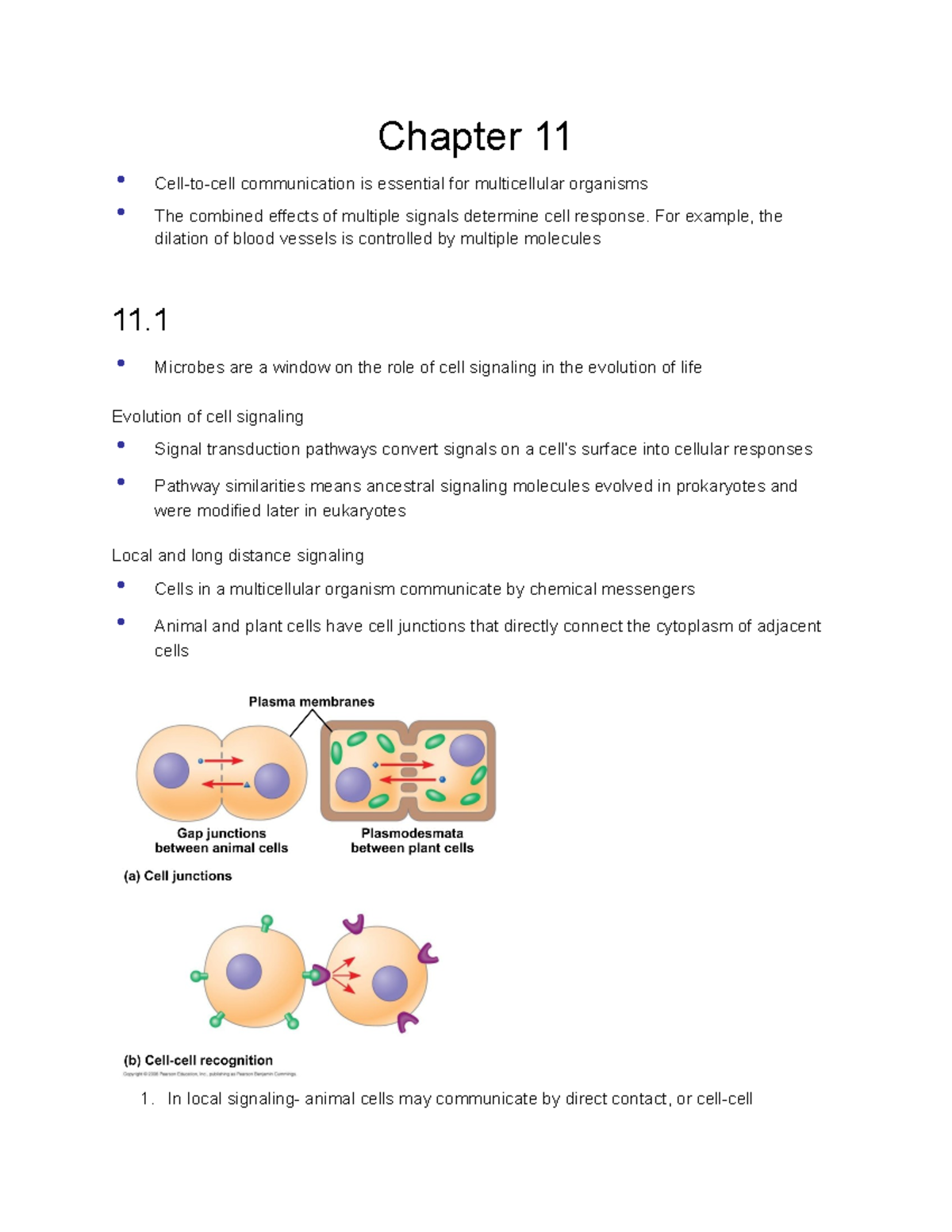 Biology Chapter 11: Cell Signaling Mechanisms and Apoptosis - Studocu