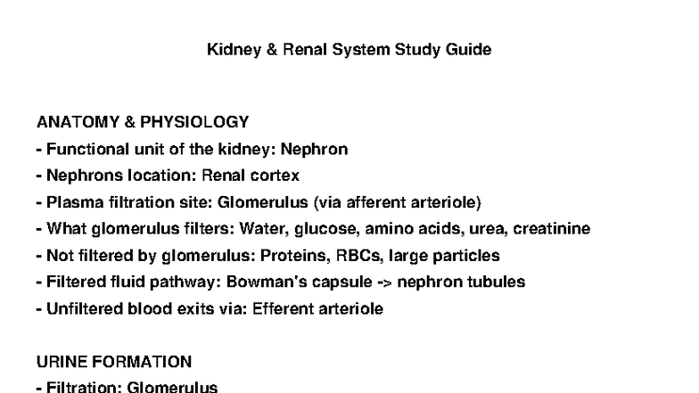 Kidney Renal System Study Guide: Anatomy & Physiology (Med Surg Notes ...