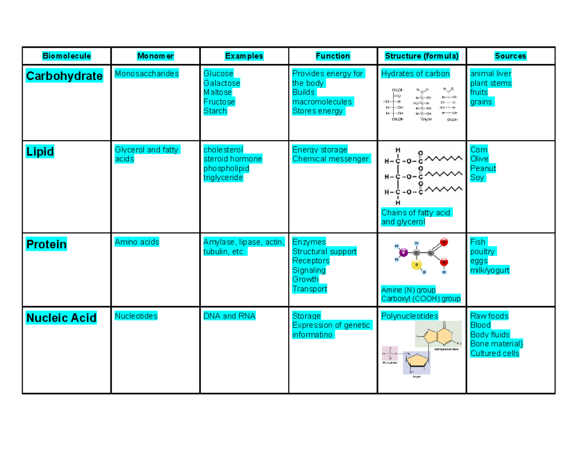 Biomolecule Chart - Biomolecule Monomer Examples Function Structure ...