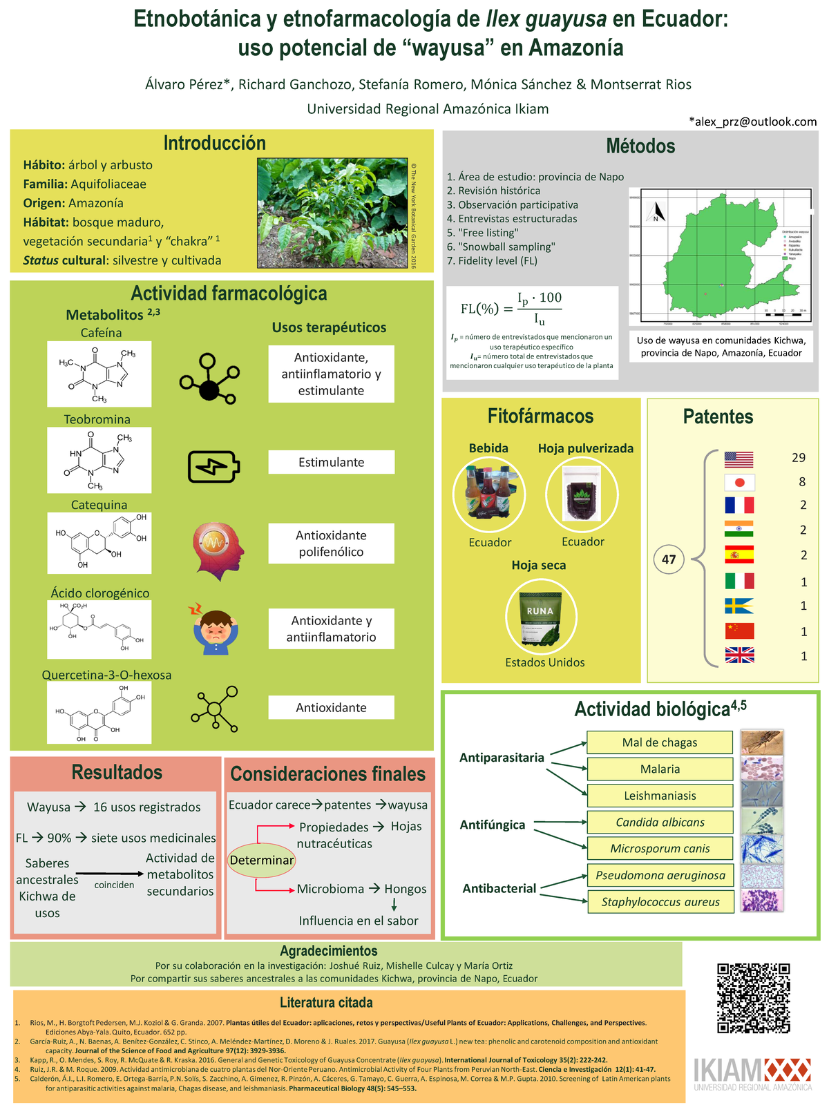 Etnobotánica y Etnofarmacología de Ilex guayusa en Ecuador: Informe VII ...