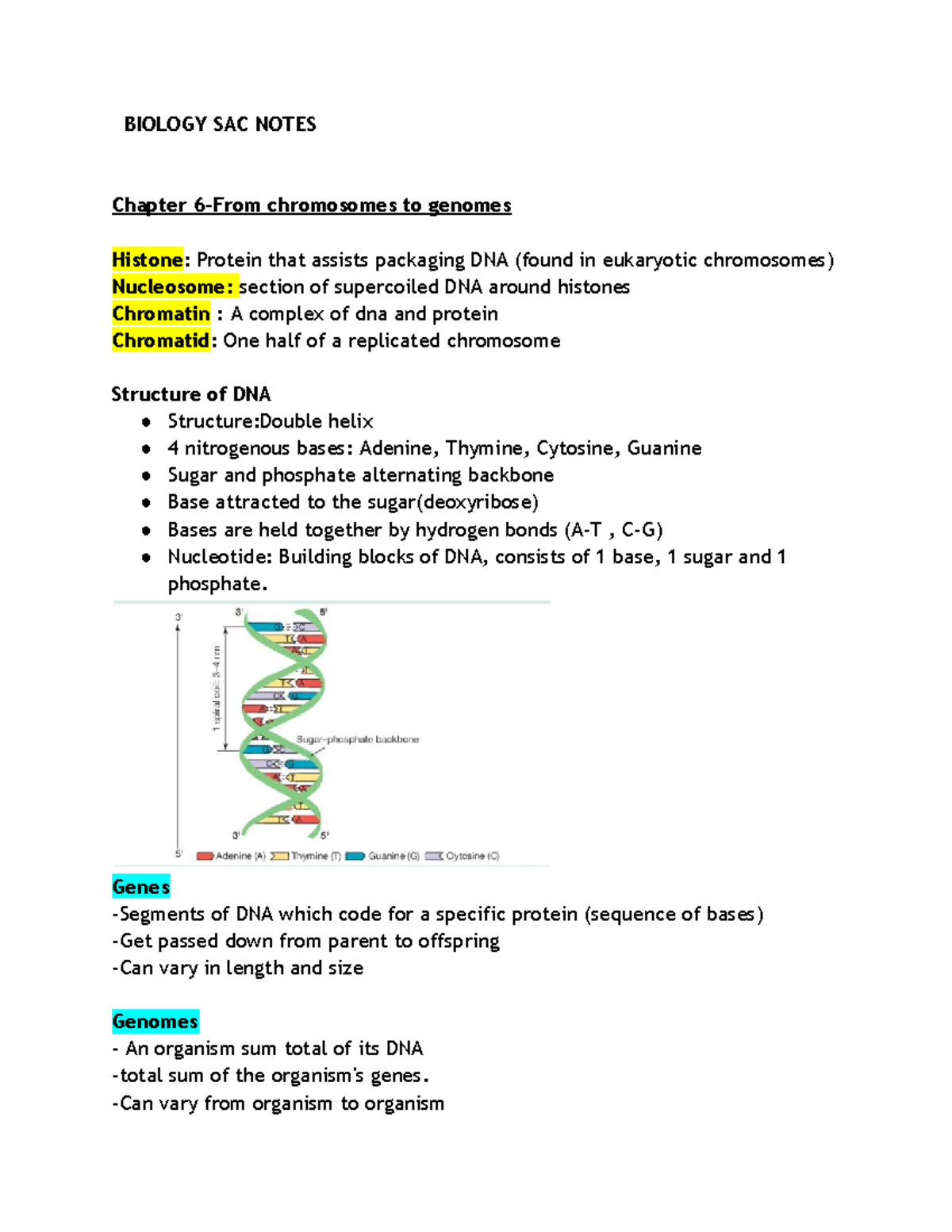 BIOLOGY SAC NOTES: Chapter on Chromosomes to Genomes - Studocu