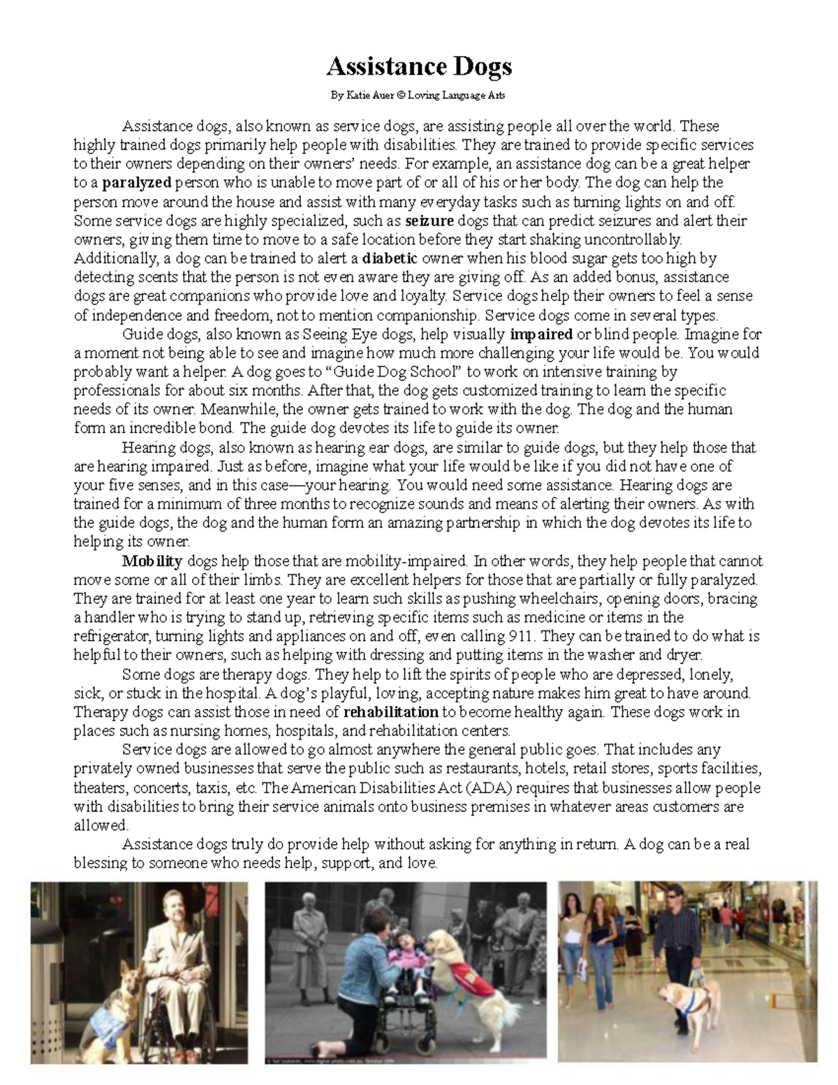 Assistance Dogs: Understanding Their Role and Impact in Society - Studocu