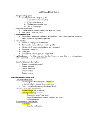 Essential Nutrients Worksheet: Vitamins Minerals and Deficiencies - Studocu