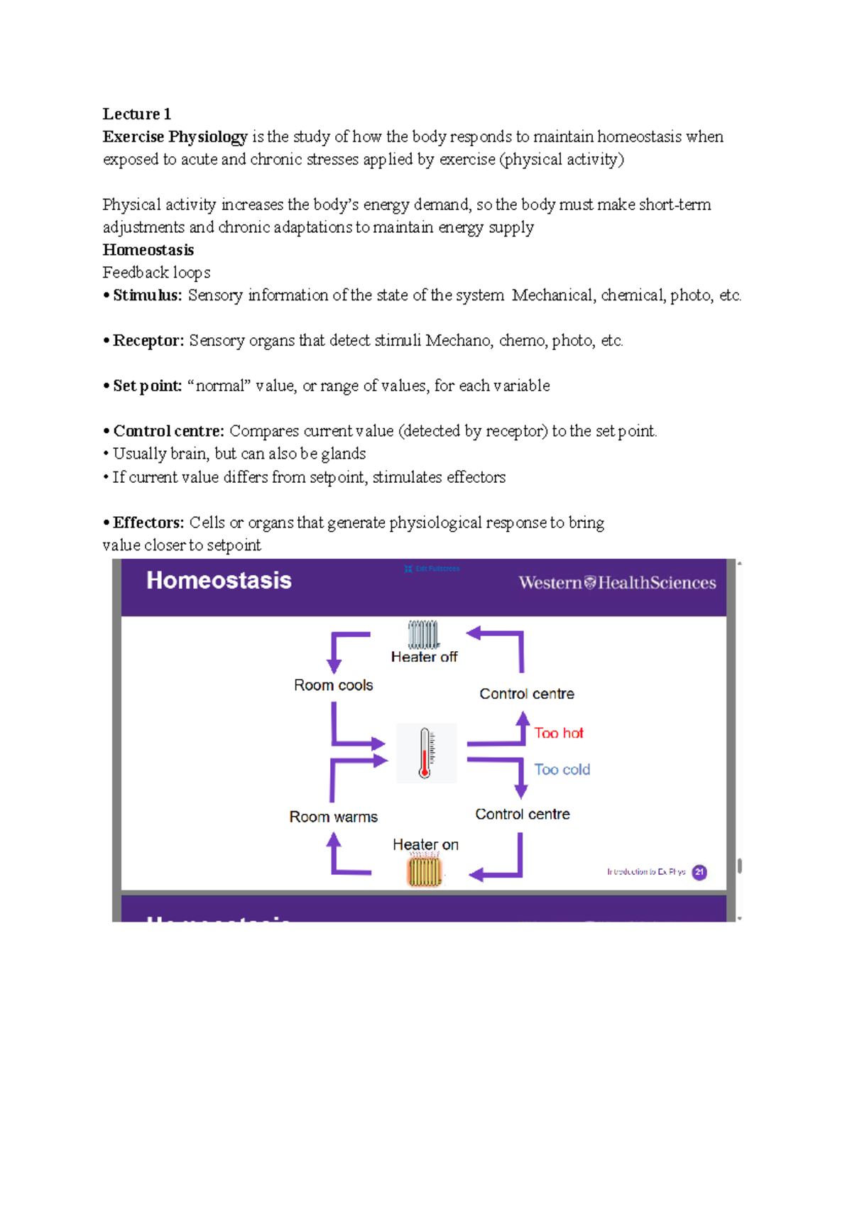 Exercise Physiology 2230: Homeostasis and Muscle Mechanics Overview ...