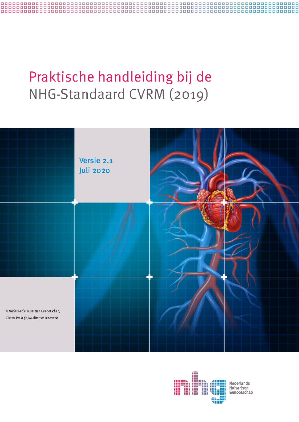 Praktische Handleiding voor NHG-Standaard CVRM 2019 - Versie 2.0 ...
