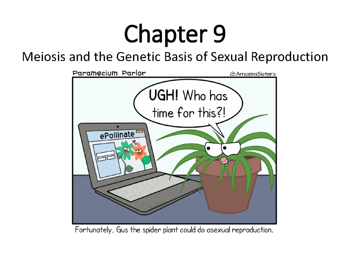 Biol 1010 Final Exam Notes: Meiosis & Genetic Variation - Studocu