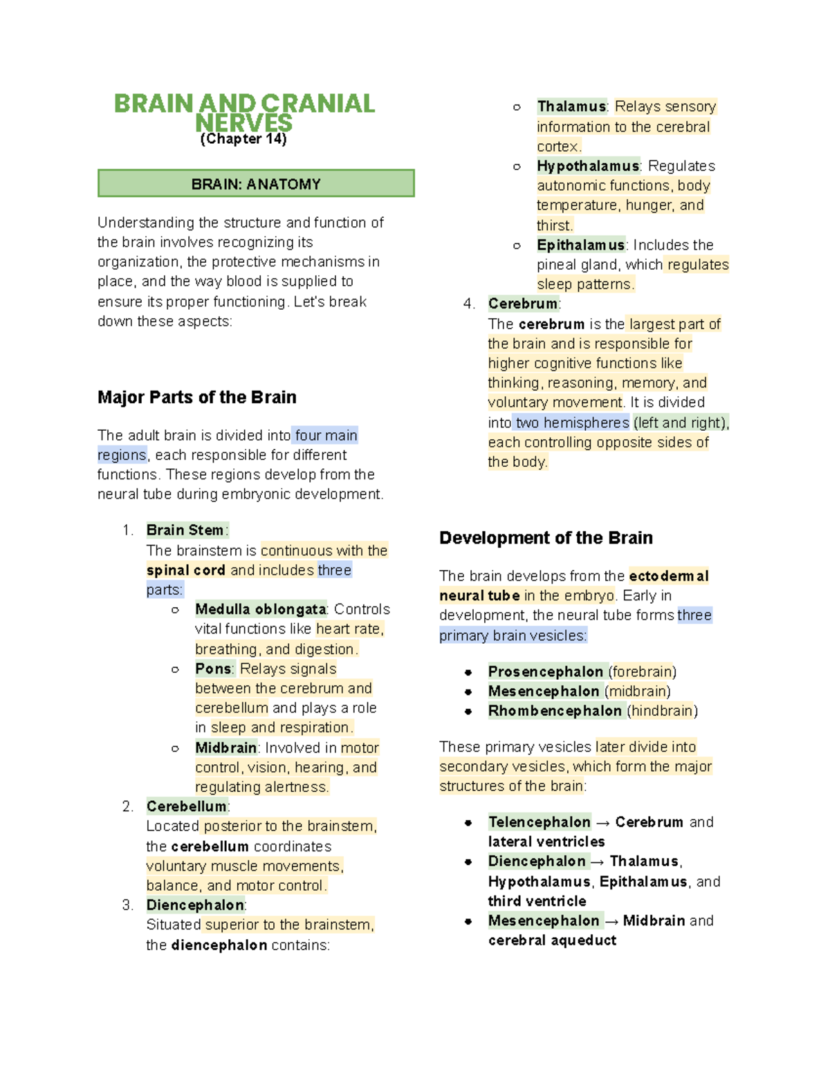 Brain and Cranial Nerves - BRAIN AND CRANIAL NERVES (Chapter 14) BRAIN ...