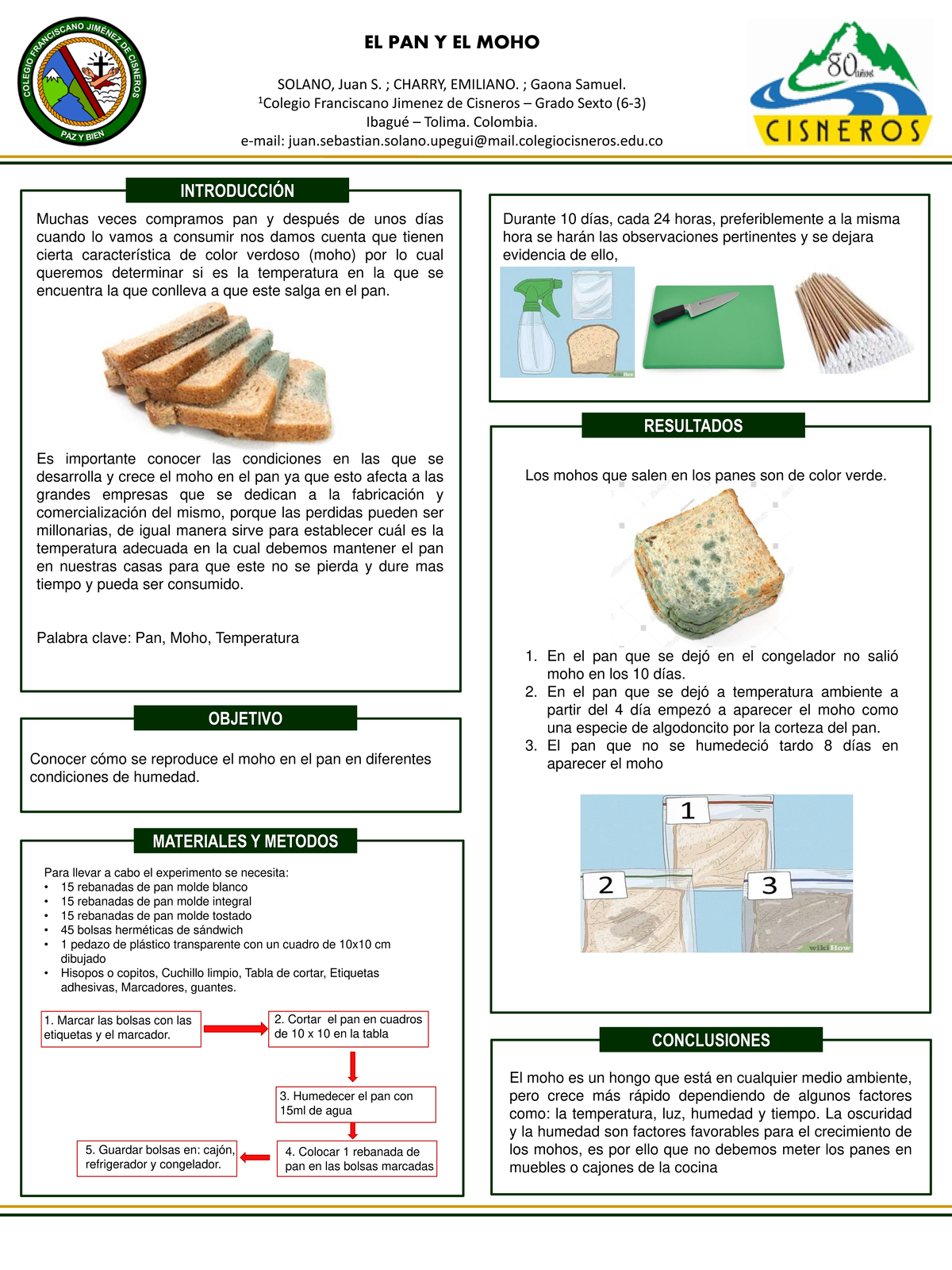 Estudio sobre el Crecimiento del Moho en el Pan en Diferentes ...
