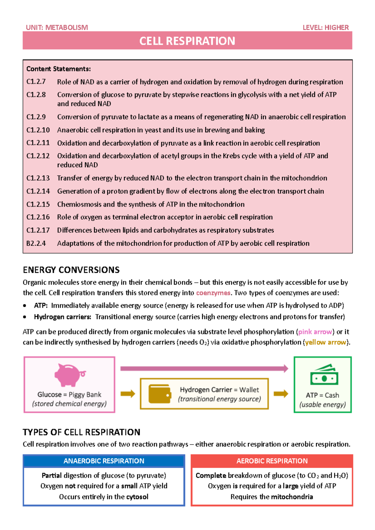 Cell Respiration (HL) Study Notes: Metabolism Unit Overview - Studocu