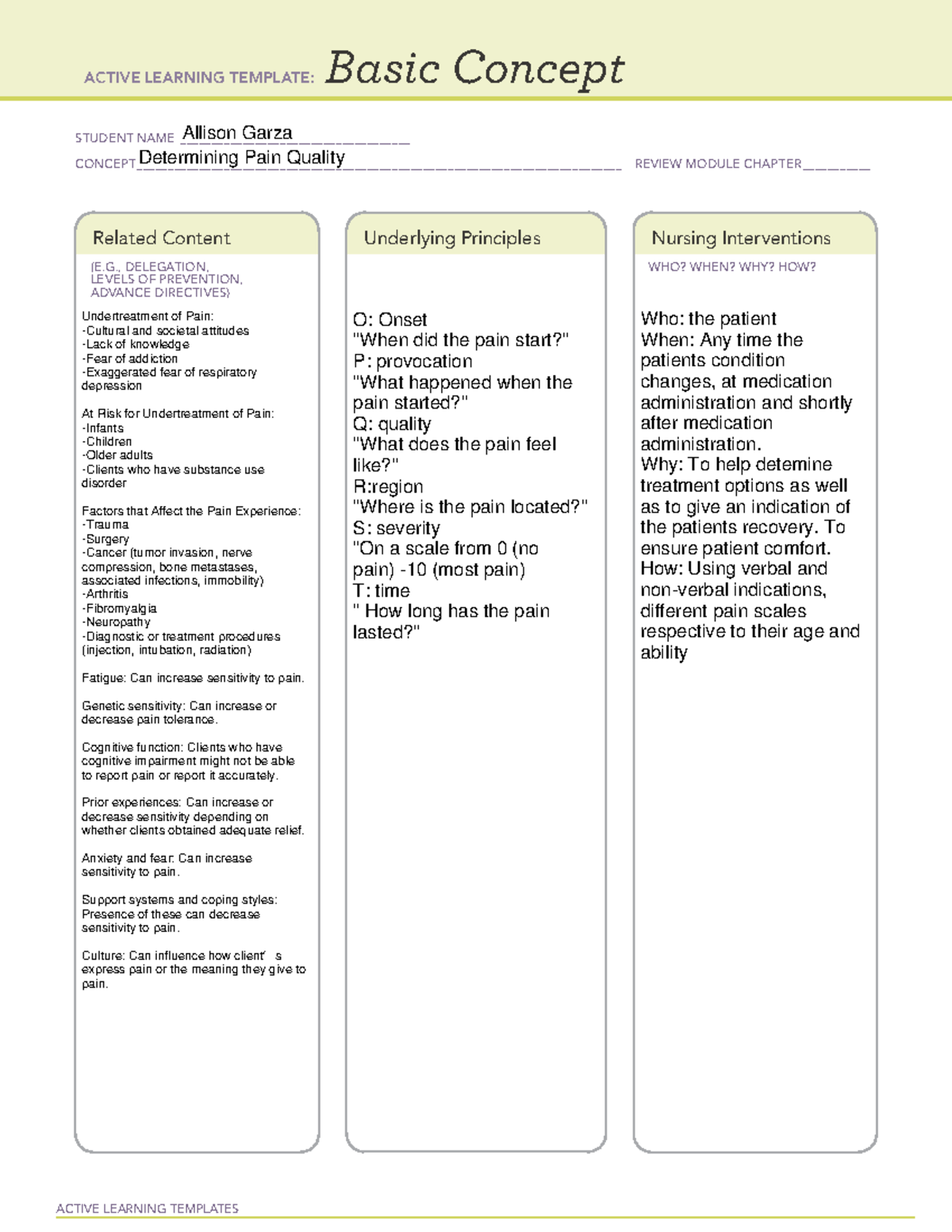 Basic concept painquality - NSGA 144 - ACTIVE LEARNING TEMPLATES Basic ...