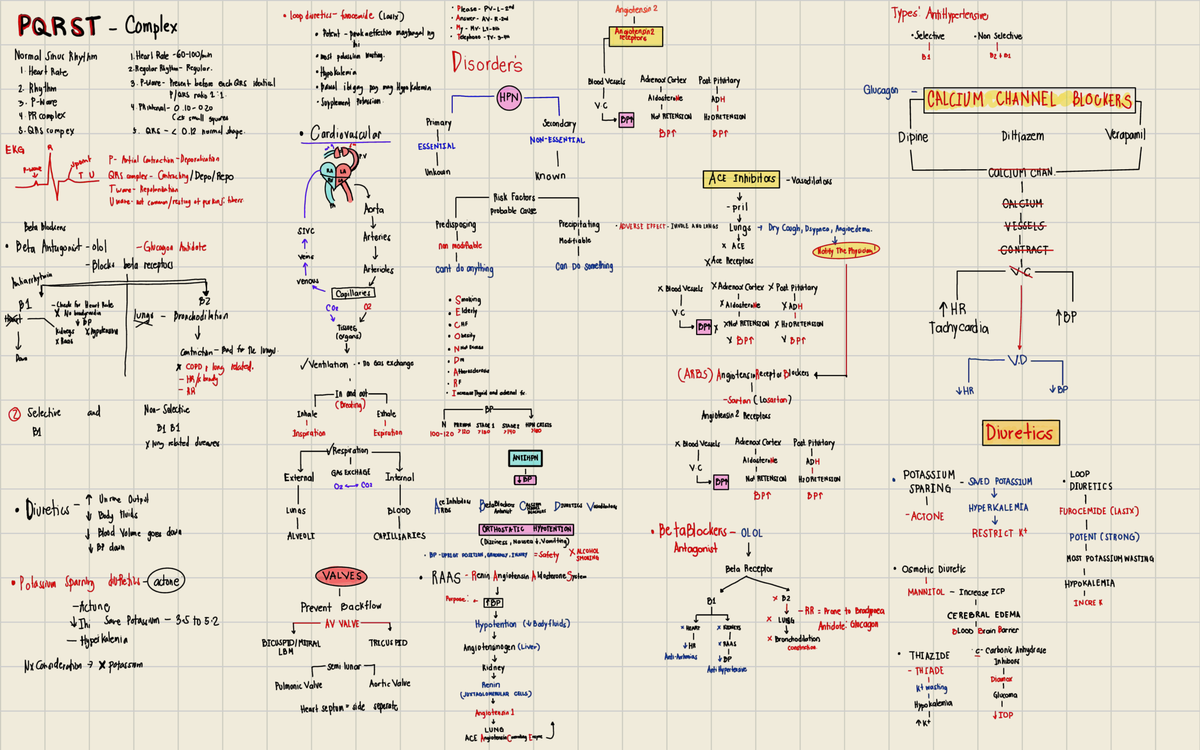 PQRST Complex and Antihypertensive Medications: A Comprehensive Review ...