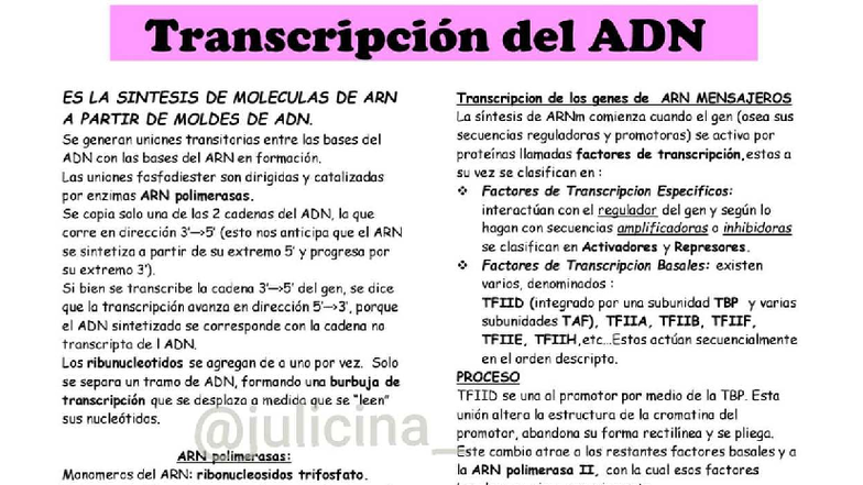 Transcripción del ADN y Síntesis de ARN: Estudio Completo - Studocu