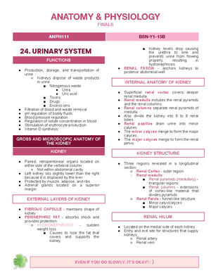 Endocrine System: Comprehensive Study Guide and Key Concepts - Studocu