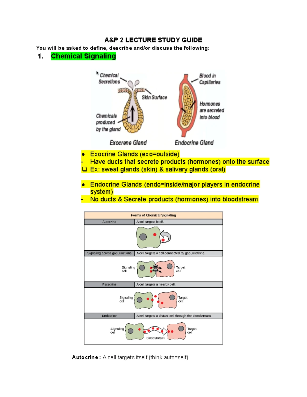 A&P II Endocrine System Study Guide - Anatomy & Physiology II- Exam 1 ...