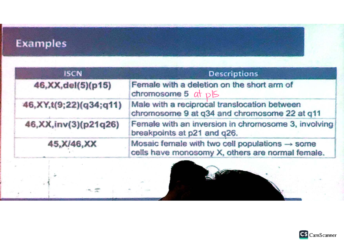 ISCN Structural Abnormalities and Aneuploidy Examples CS - Studocu