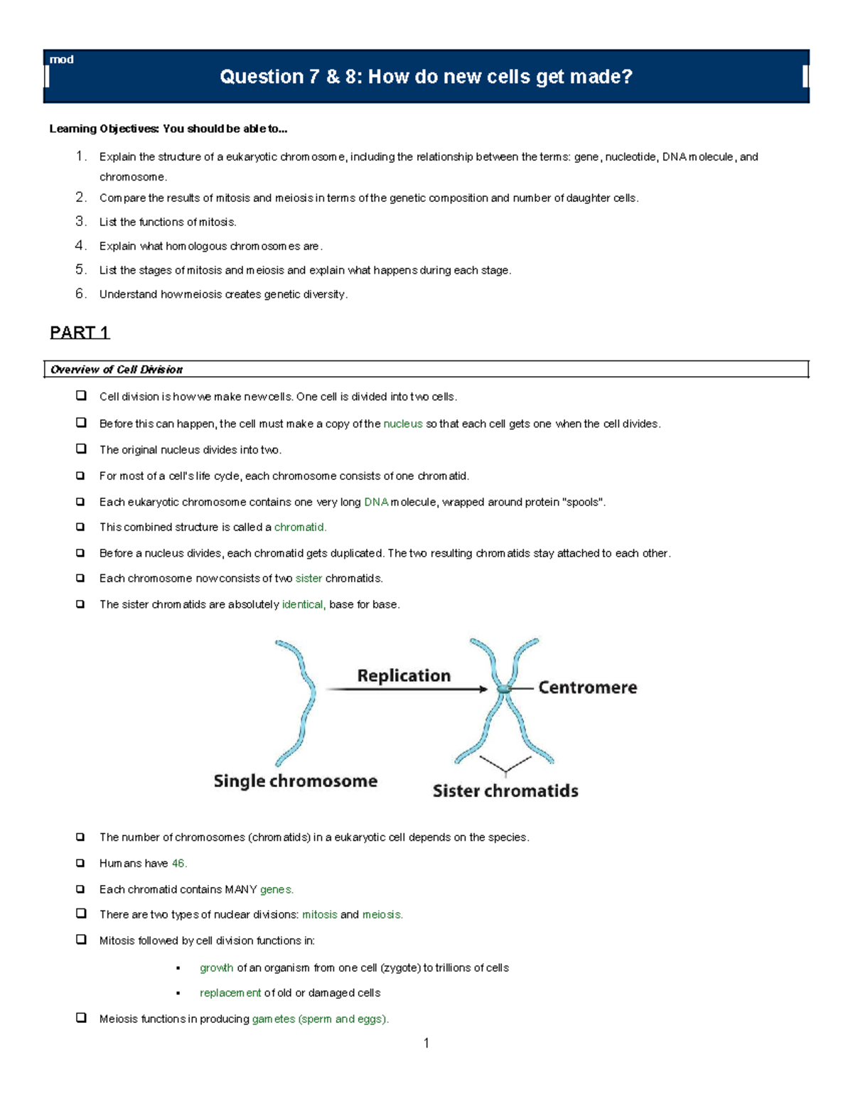 Cell Division and Genetic Variation: Mitosis & Meiosis Overview (BIO ...