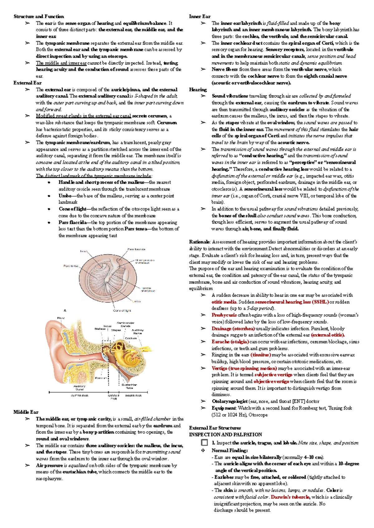 Assessment of Ear Anatomy and Function: A Detailed Overview - Studocu