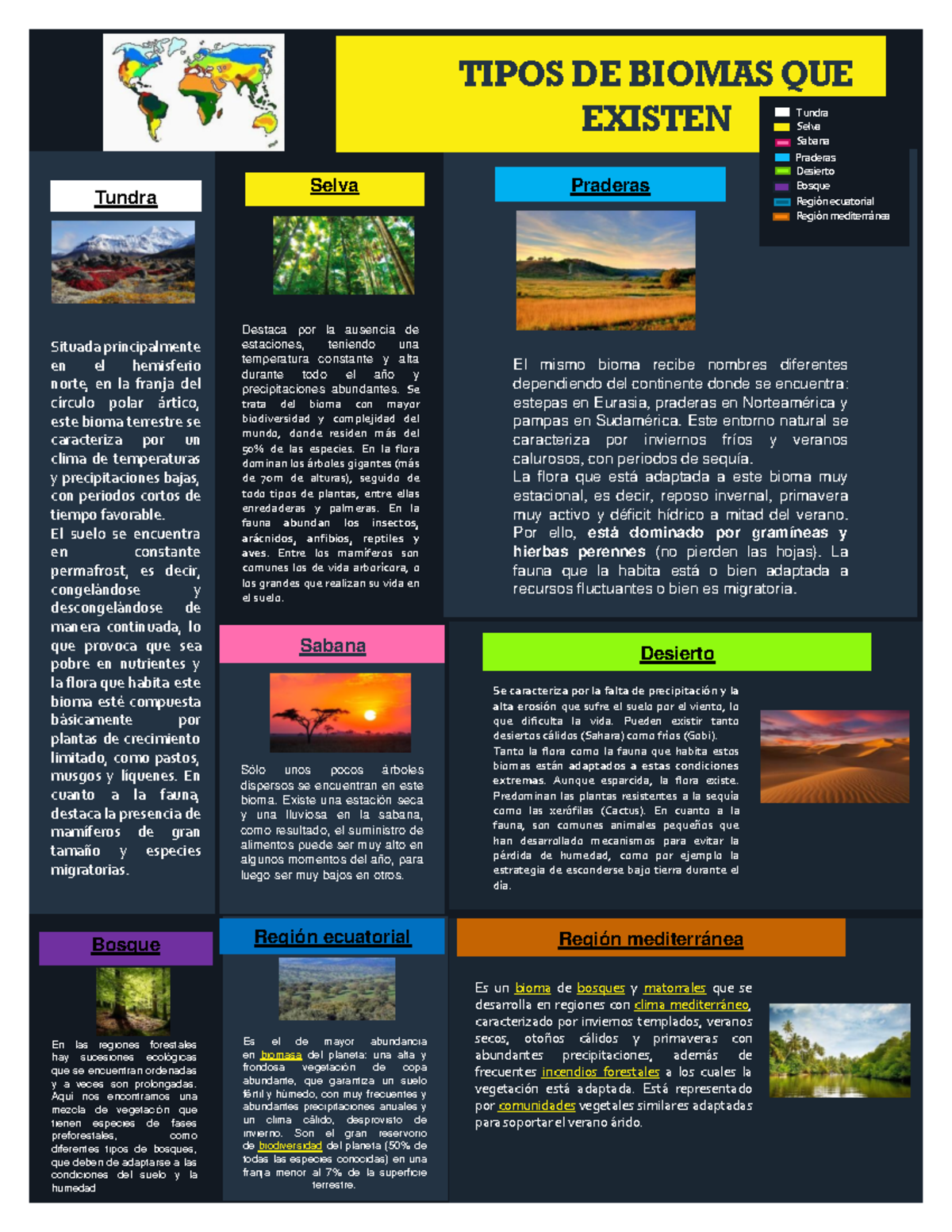 Hoja De Trabajo Sobre Los Biomas Del Mundo Biomas Para Primero De