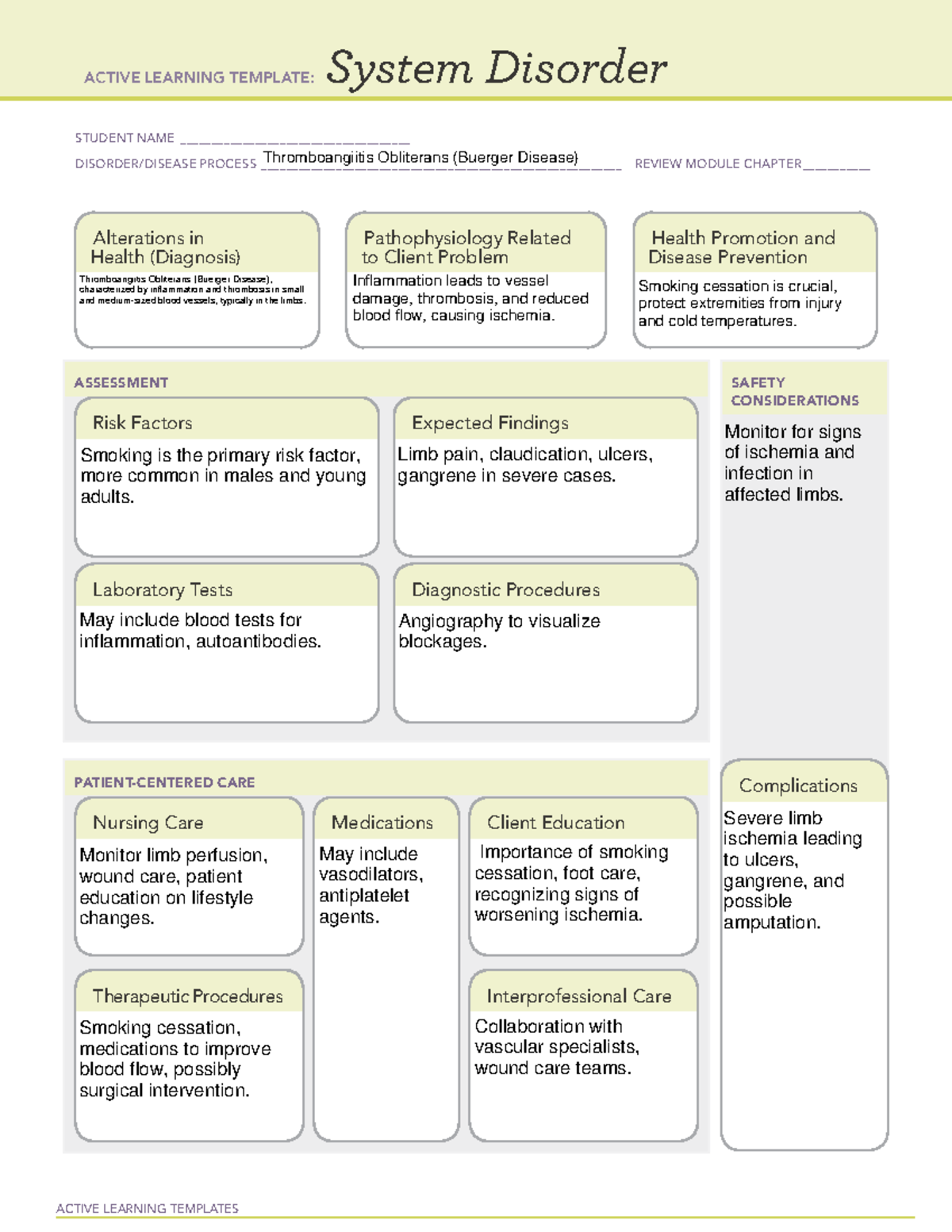 ATI Buerger Disease Active Learning Template: System Disorder Guide ...