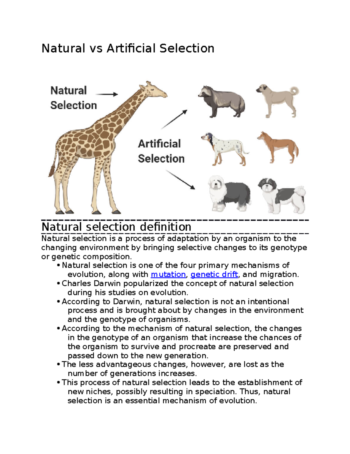 Natural vs Artificial Selection - Natural vs Artificial Selection ...