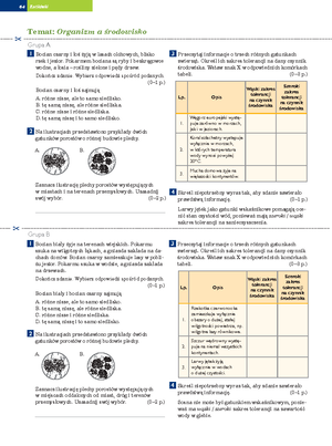 Biologia Test ekologia kl 8 grupa A - Grupa A | strona 1 z 2 1 2 3 4 5 ...