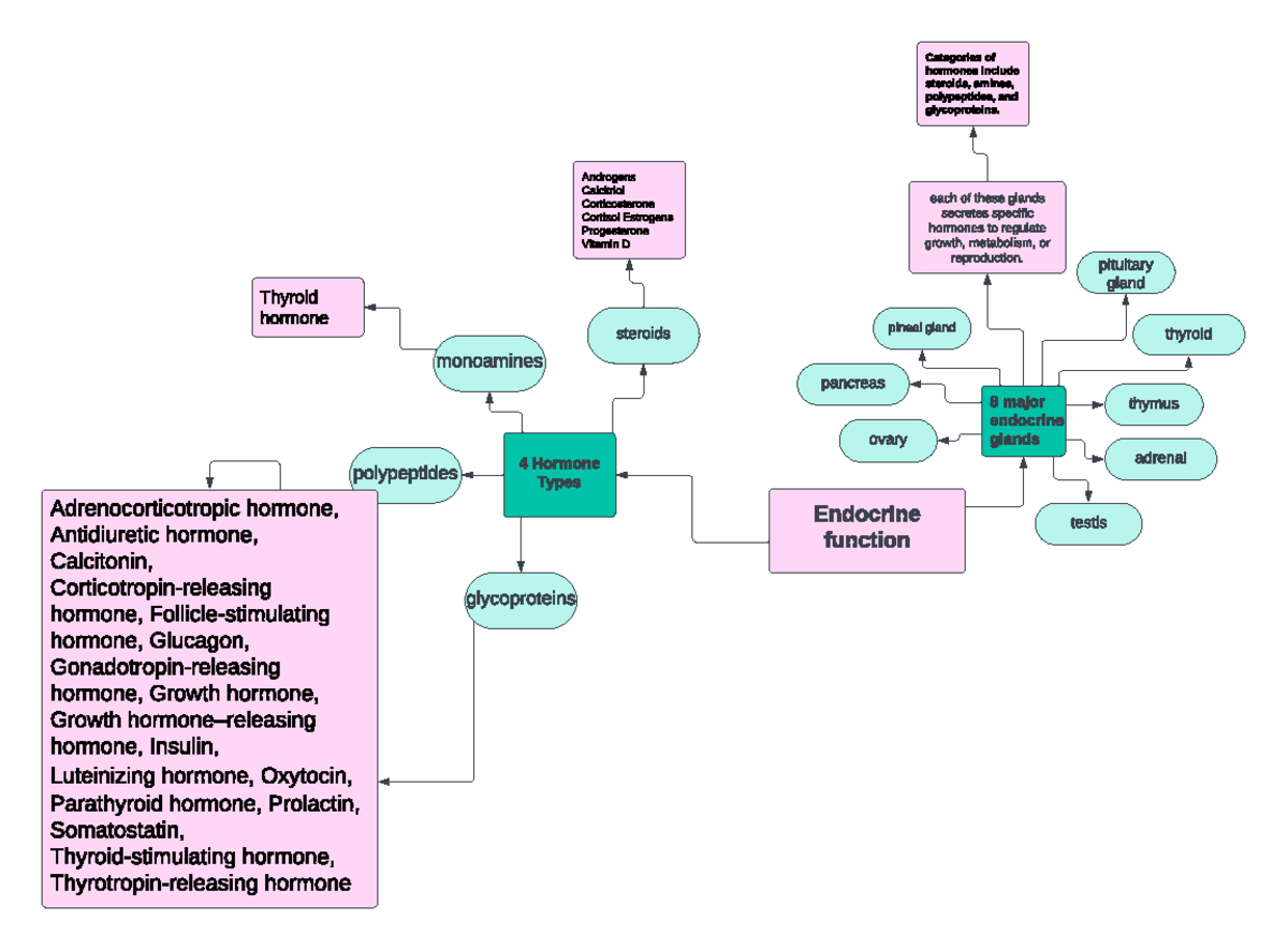 Endocrine System Concept Map - 8 major endocrine glands pineal gland ...