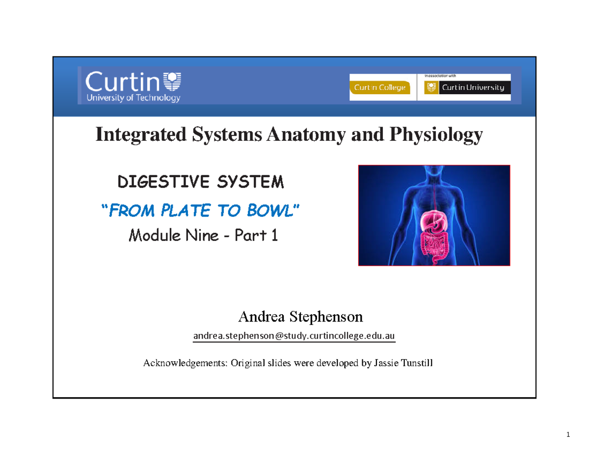 Digestive System Anatomy & Physiology MCQs - Module 9 Part 1 - Studocu