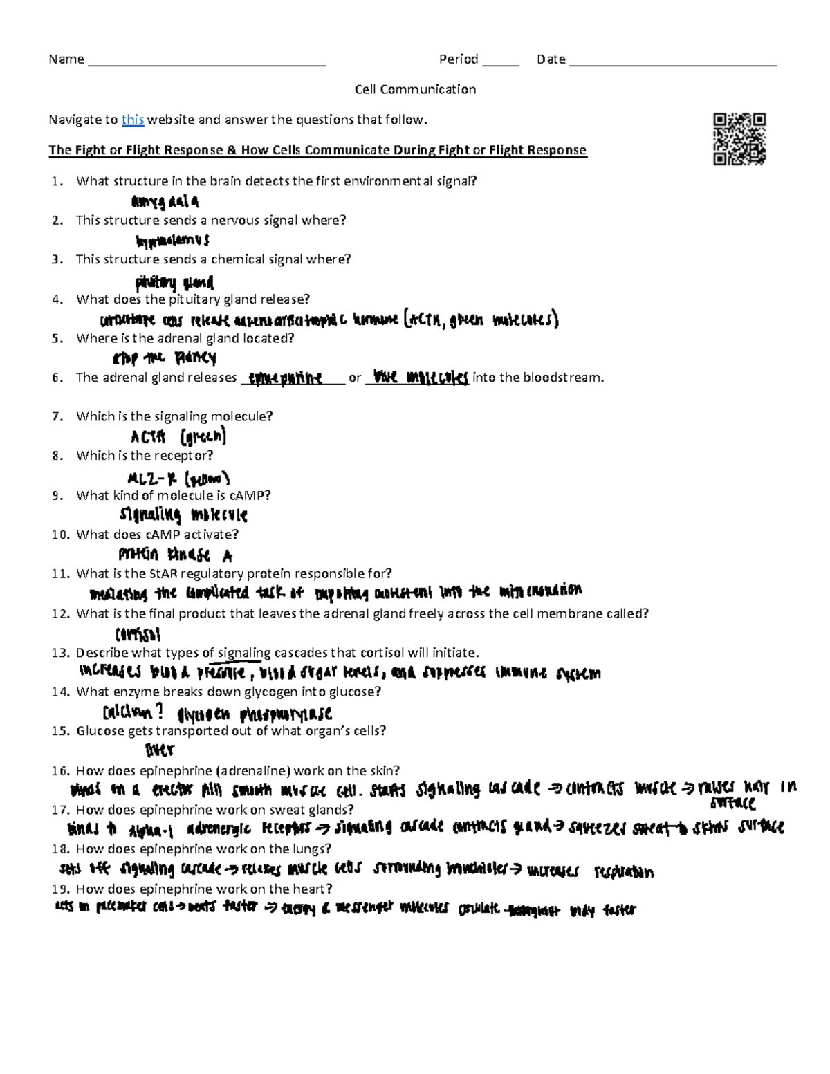 Cell Communication Webquest 2023-24: Understanding Signals & Responses ...