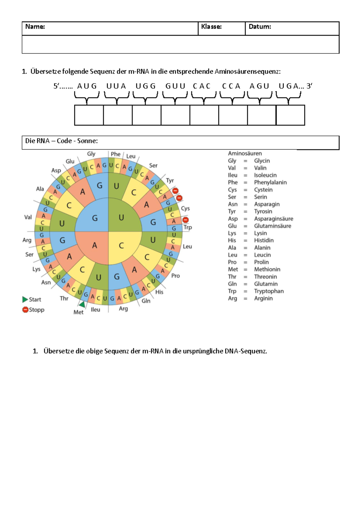 Übersetzung der RNA-Sequenz in Aminosäuren - 14.2 Genetischer Code ...