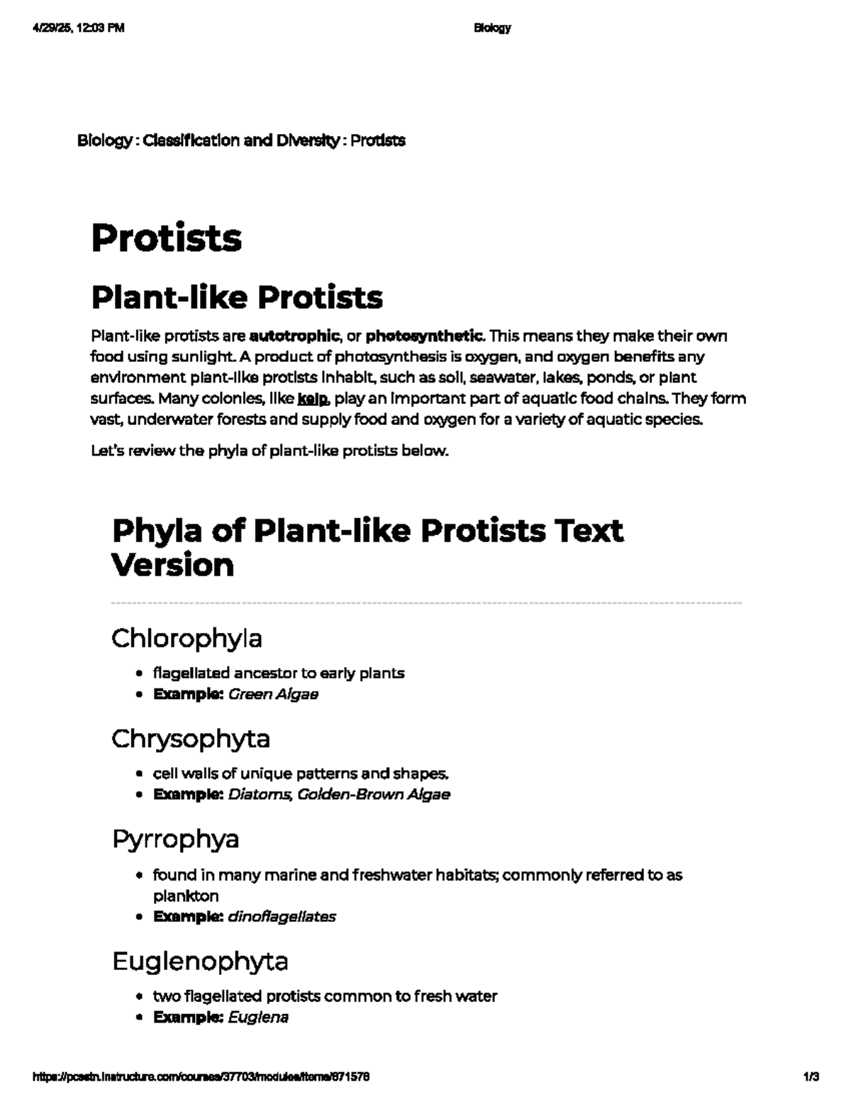 Understanding Protists: Characteristics and Classification Overview - 12:03 PM Biology Biology ...