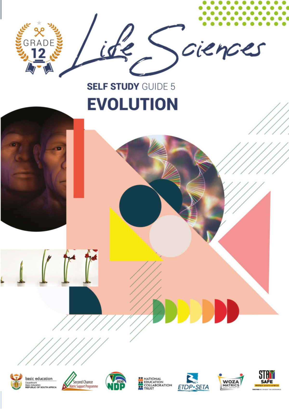 Life Sciences Grade 12: Evolution Study Guide and Exam Prep - Studocu