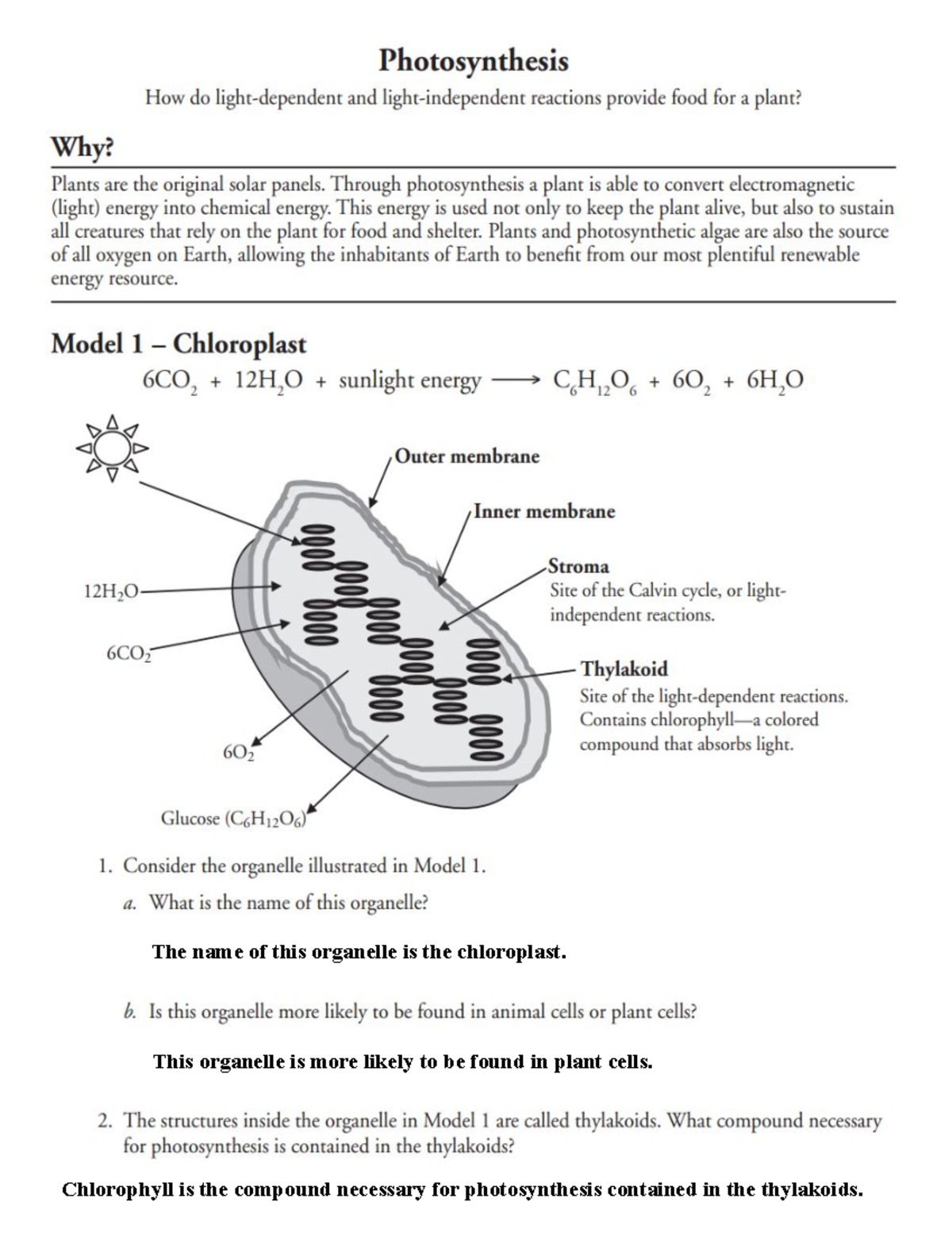 Pogil Photosynthesis Answer Key Lesson Plan | Modeling Photosynthesis