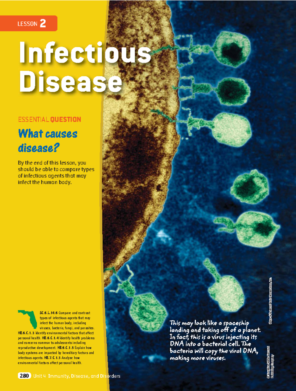 Unit 4 CUL9: Lesson 2 on Infectious Diseases - Causes, Transmission ...