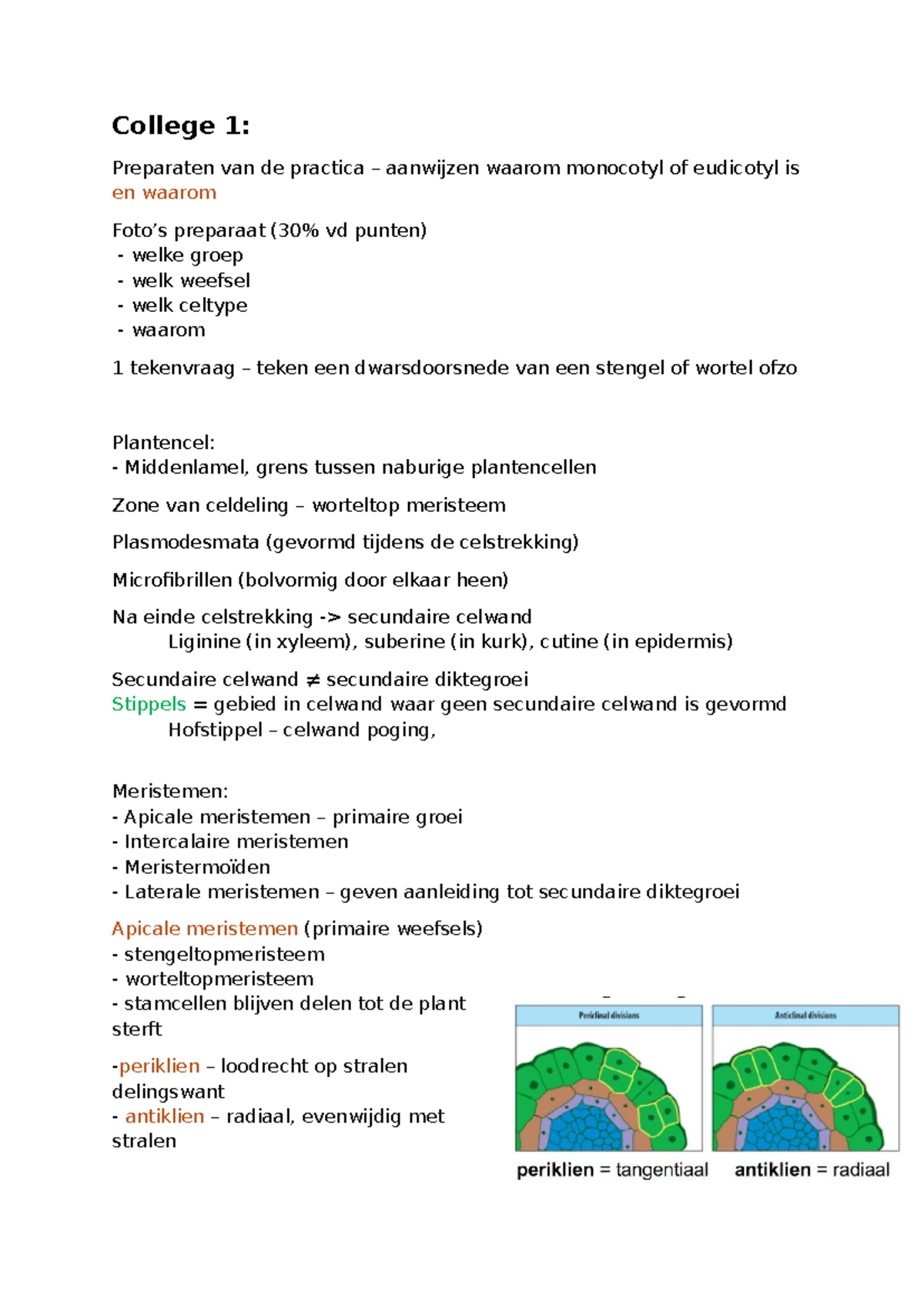 College 1 & 2: Anatomie van Planten - Monocotylen en Eudicotylen ...
