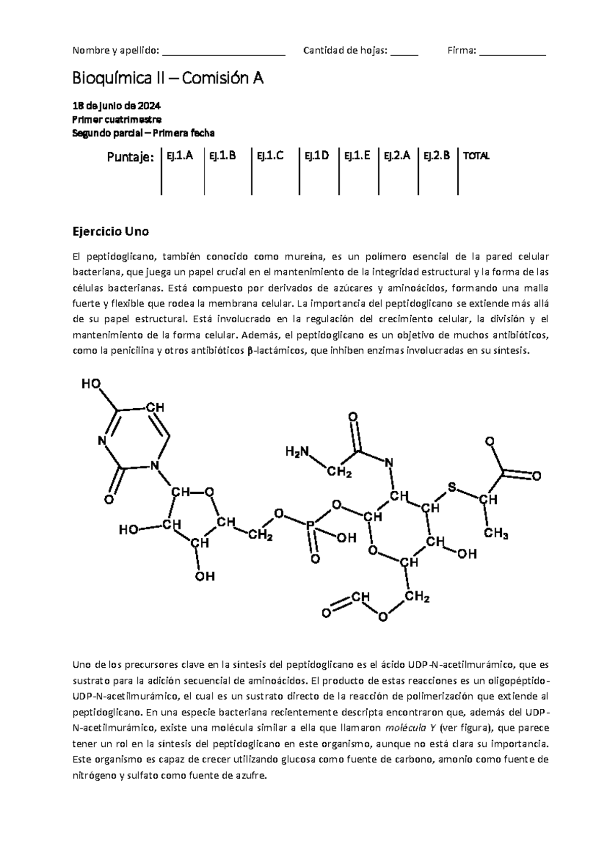 Modelo de Segundo Parcial - Bioquímica II (Comisión A) - Studocu