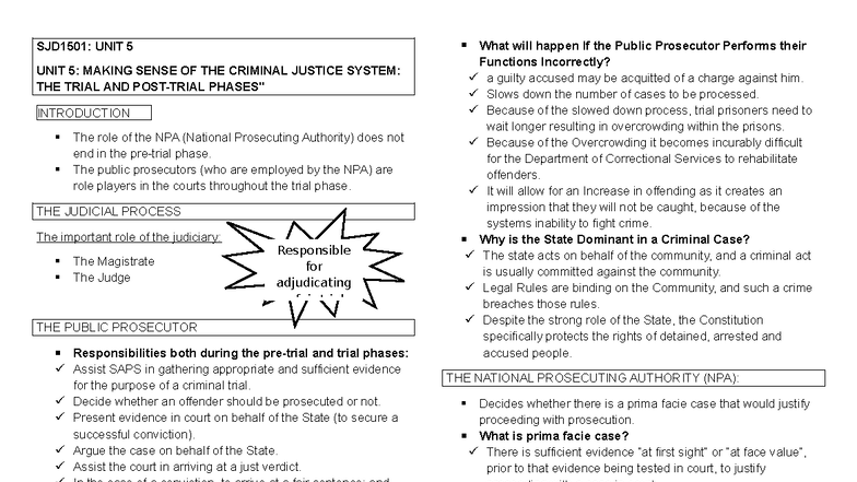 SJD1501: Unit 5 Notes on the Criminal Justice System and Trial Process ...
