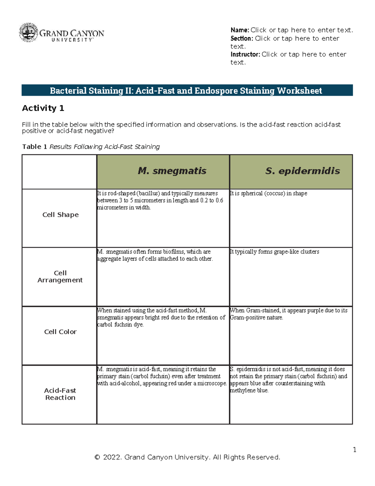 Acid Staining Lab 2: Bacterial Staining & Endospore Analysis - Studocu