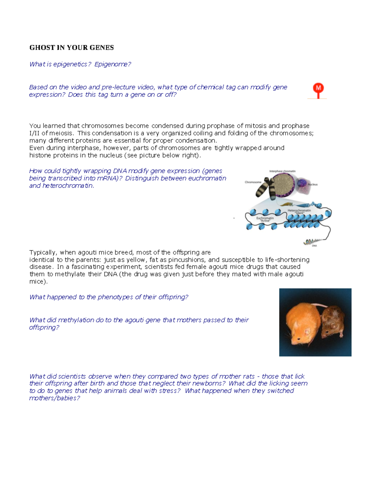 GHOST IN YOUR GENES: Epigenetics & Gene Expression Insights - Studocu