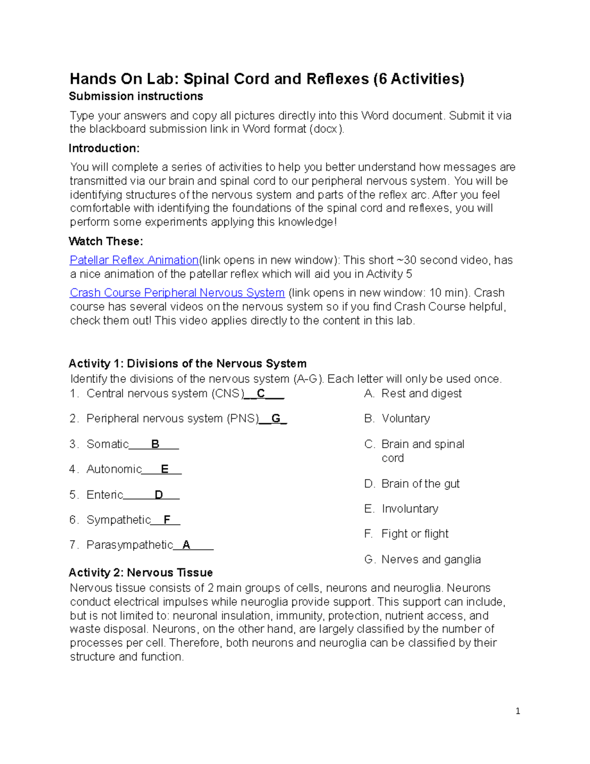 Lab7 Spine Reflex - Completed - Hands On Lab: Spinal Cord and Reflexes ...