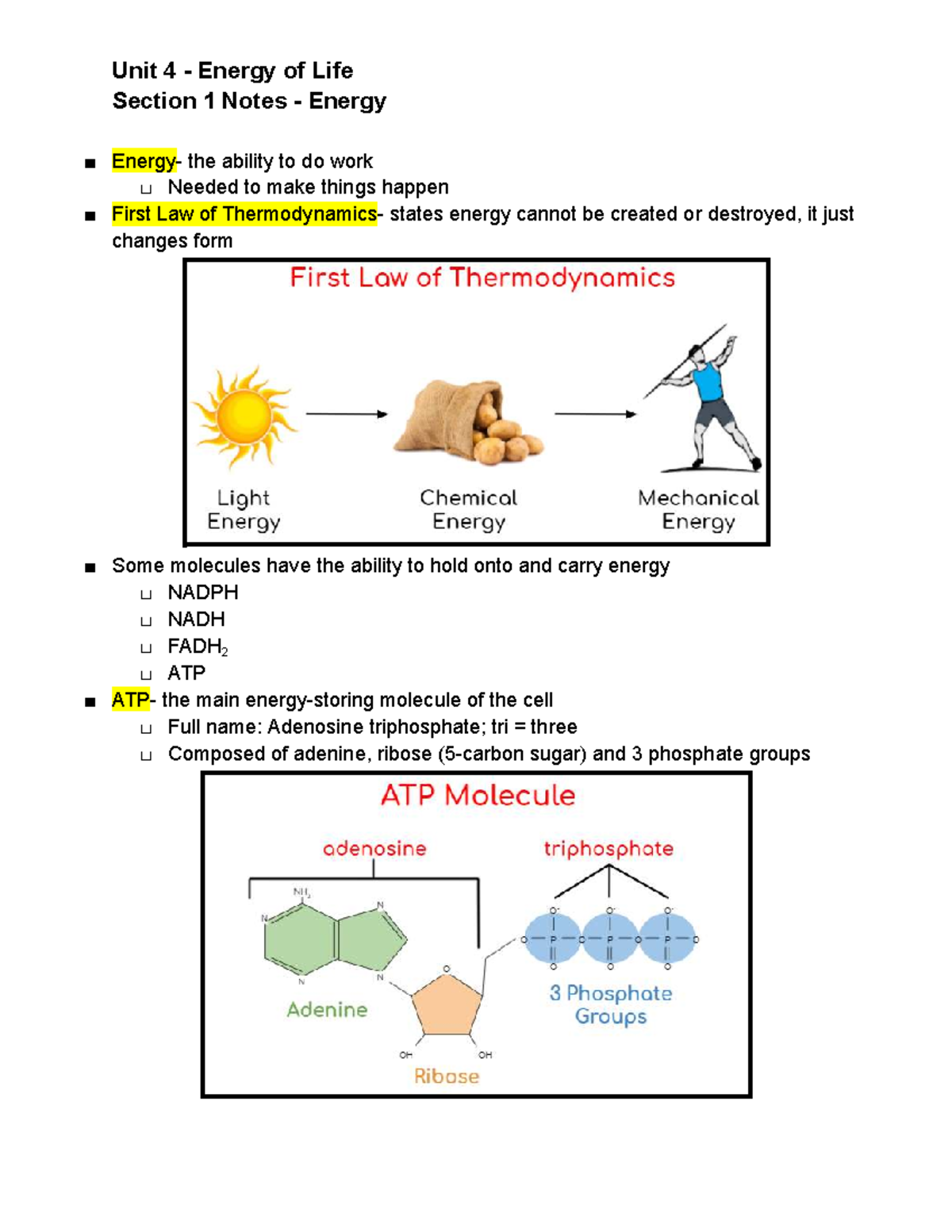 Unit 4 - Energy of Life: Section 1 Notes on Energy & ATP - Studocu