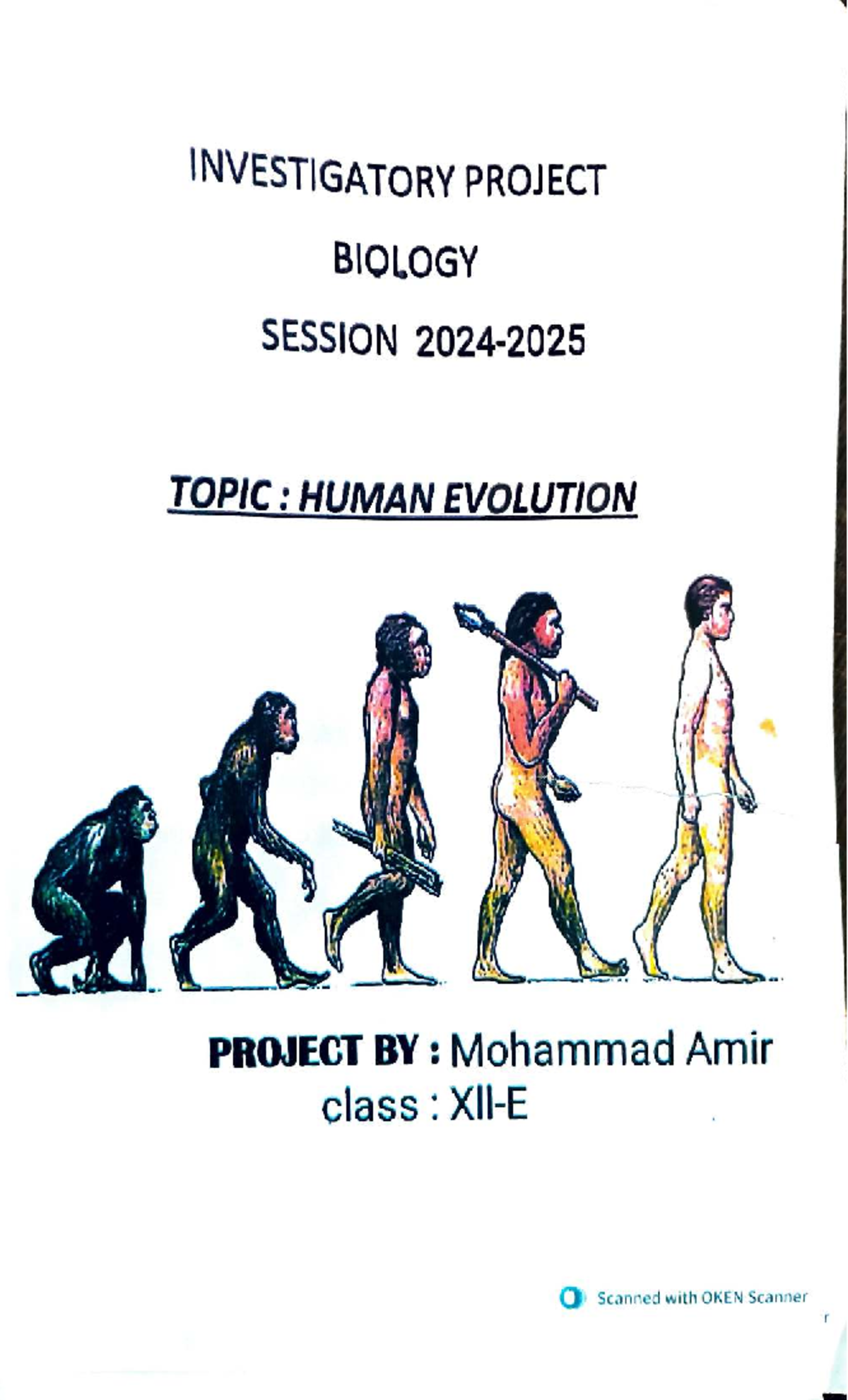 BIOLOGY PROJECT: HUMAN EVOLUTION (CLASS 12) - Studocu