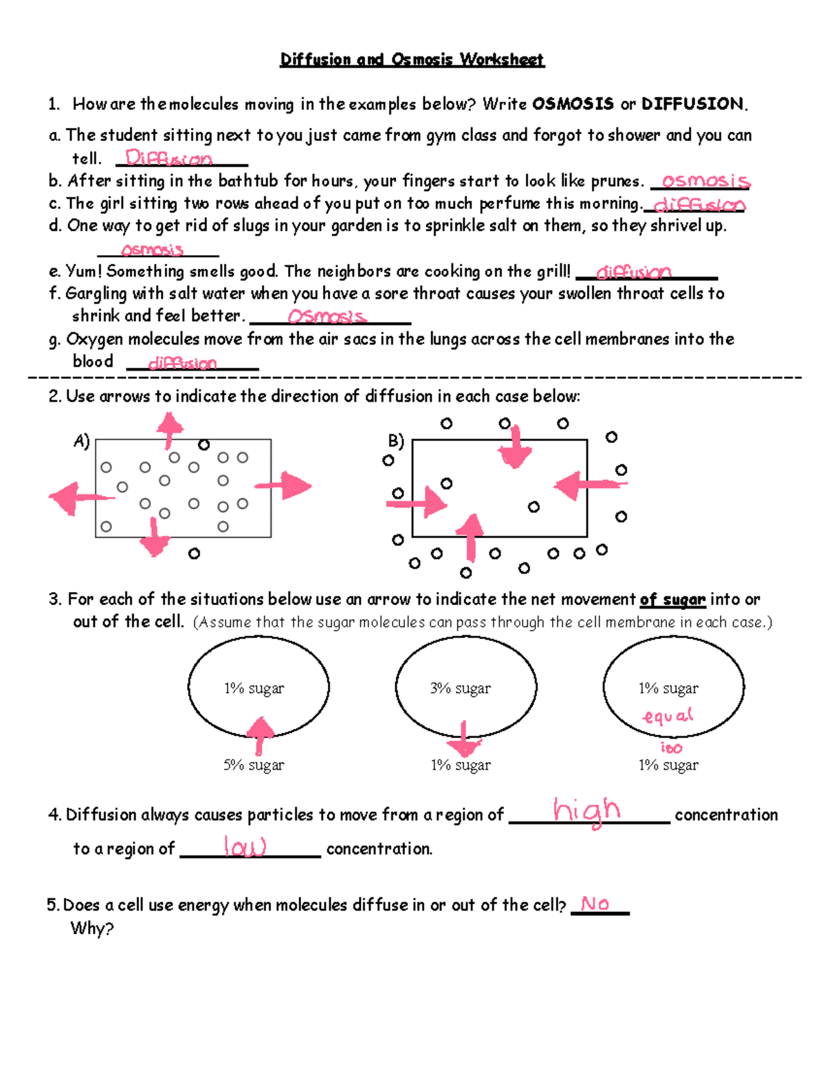 Diffusion and Osmosis Worksheet 1: Understanding Cellular Processes ...