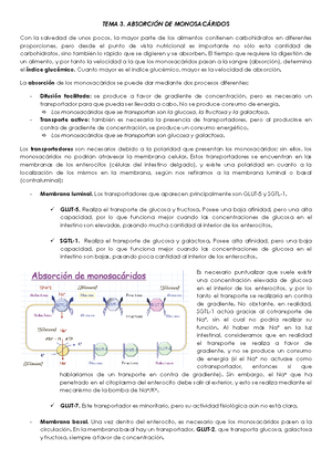 Tema 2. Mecanismos de regulación metabólica - TEMA 2: MECANISMOS DE 1 ...
