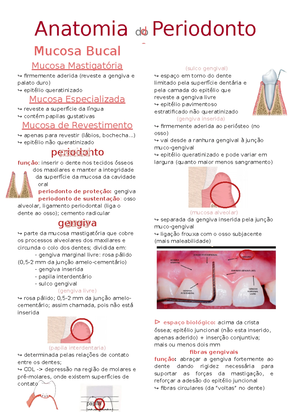 Tabela Atualizada de Códigos CID-10 em Saúde Bucal - Studocu