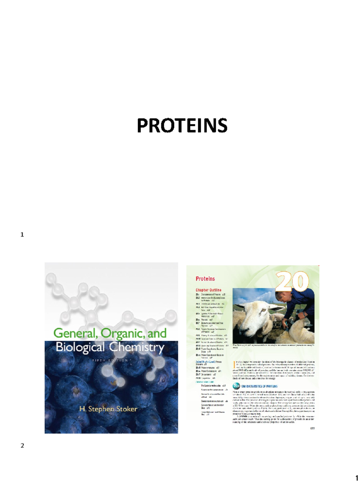 15.intro to proteins - Protein - PROTEINS 1 2 Proteins Polymer in which ...