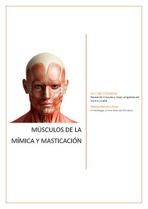 Metámera: Estructura y Función en la Médula Espinal - Studocu