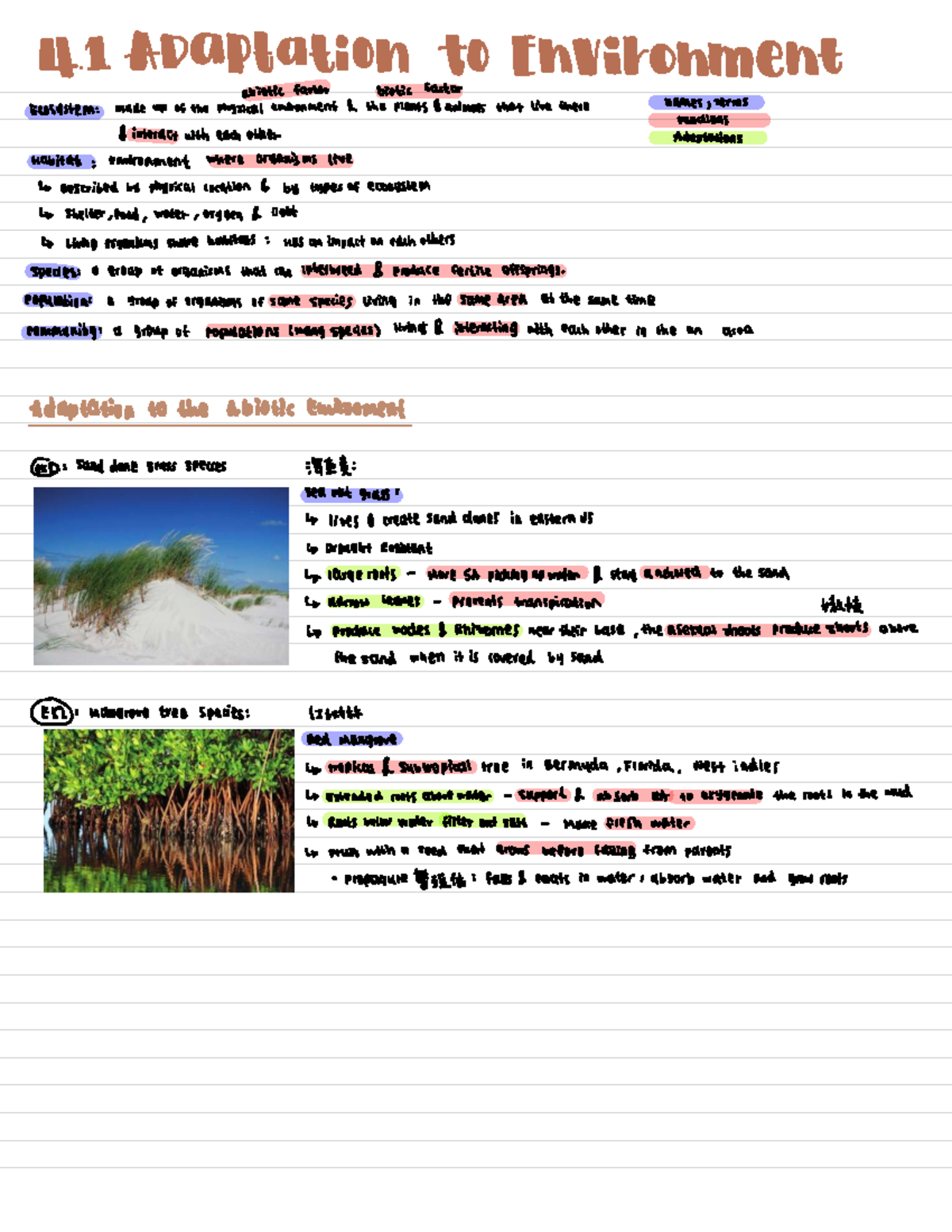 IB Biology - 4.1 Adaptation to Environment: Organisms and Ecosystems ...