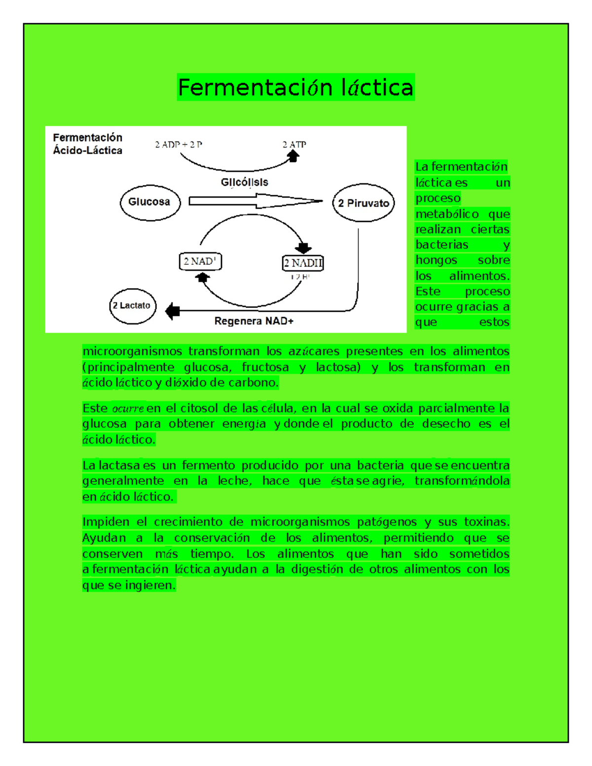 Tipos de Fermentación: Láctica y Butírica en Alimentos - Studocu